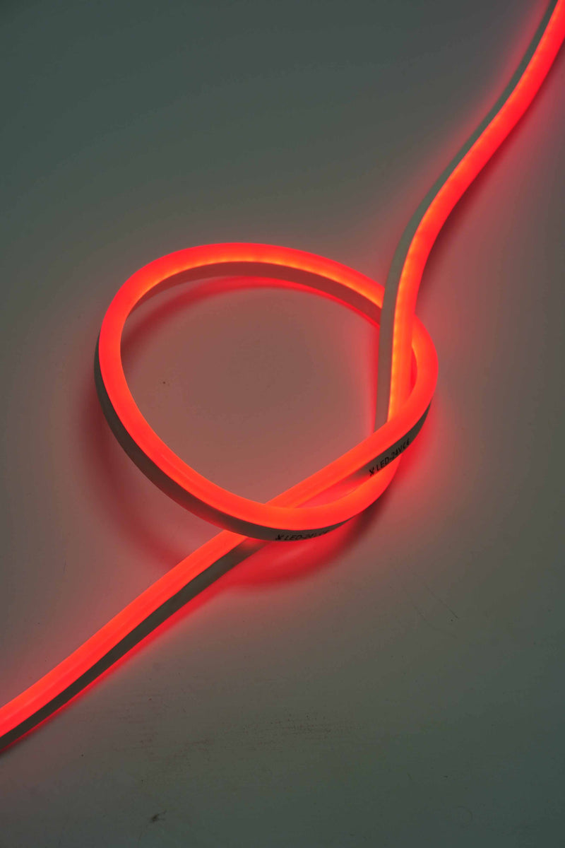 Mini Neon Flex (24v) – DDS UK Ltd